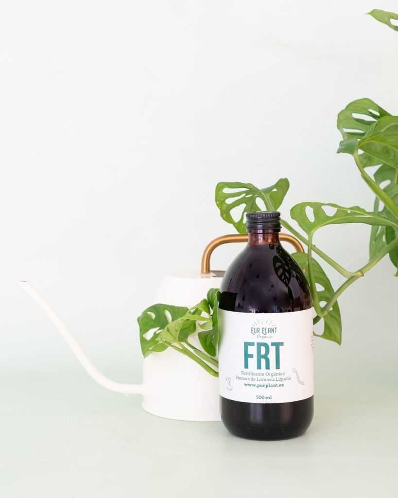 Cuidados Carnívora | Guía Practica | Pur Plant