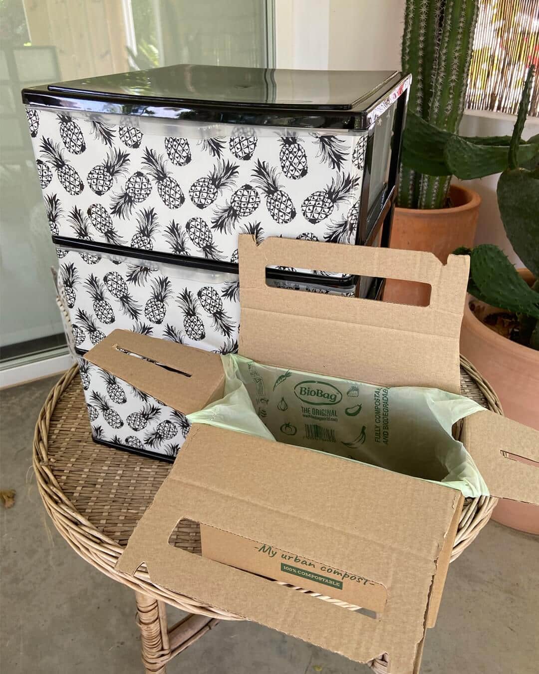 Cómo hacer una vermicompostera en casa - Pur Plant