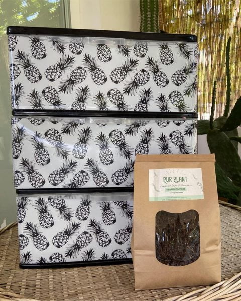 Cómo hacer una vermicompostera en casa - Pur Plant