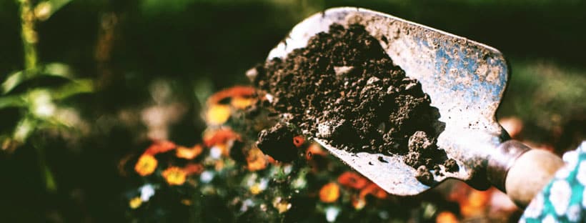 La importancia de abonar en otoño nuestras plantas - Pur Plant