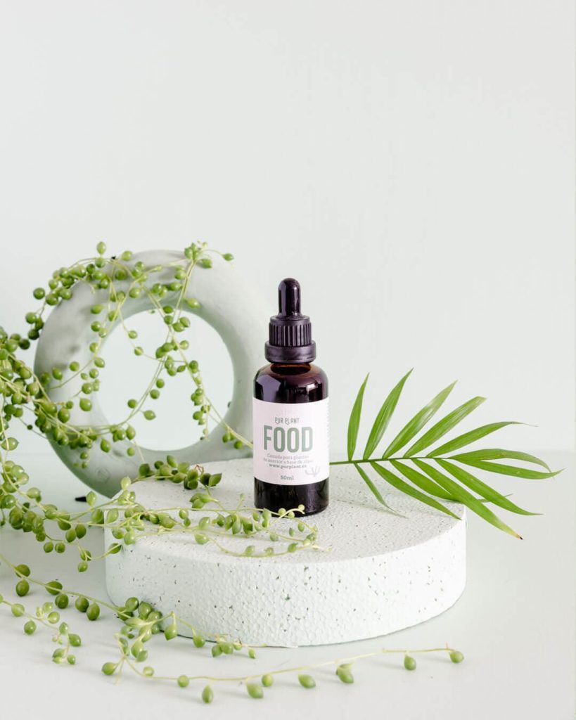 Beauty Plant box | Comprar Online | Pur Plant