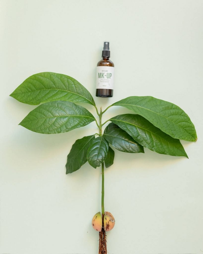 Beauty Plant box | Comprar Online | Pur Plant