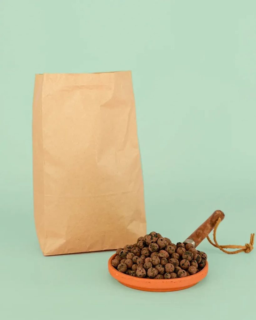 Cómo y Cuándo Plantar Jazminero - Pur Plant