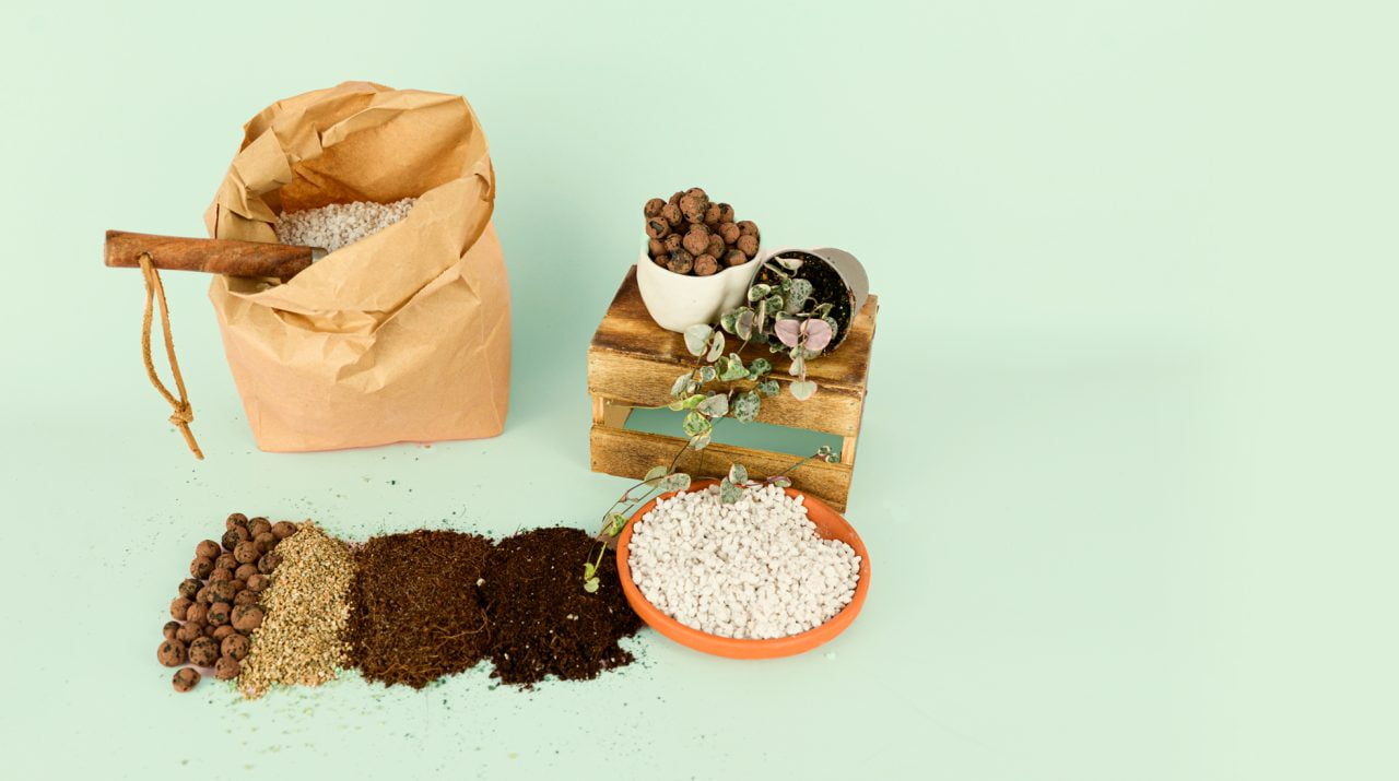 Sustratos Orgánicos para Plantas - Comprar Online - Pur Plant