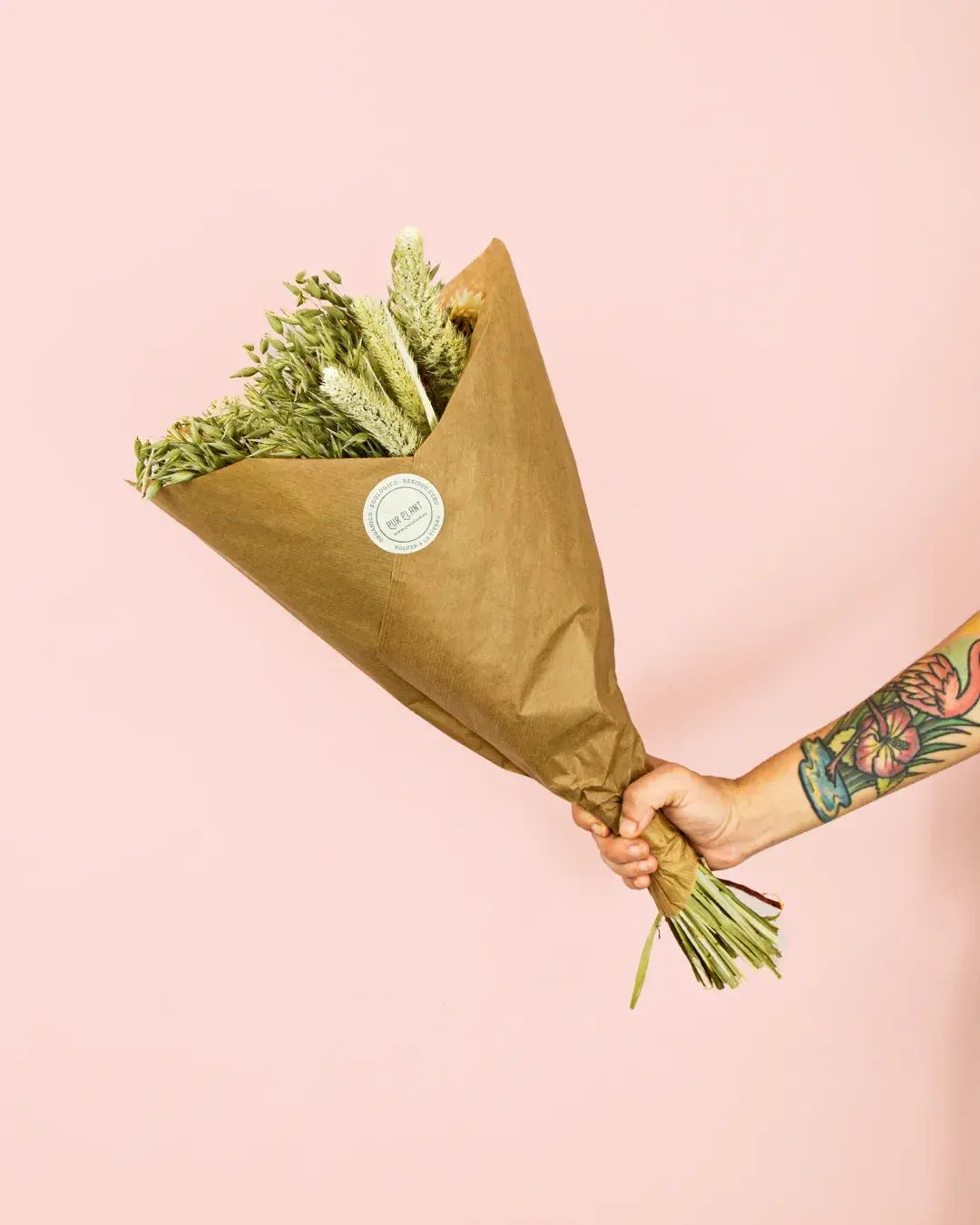 Orbey- Ramo de Flores Secas | Comprar Online | Pur Plant