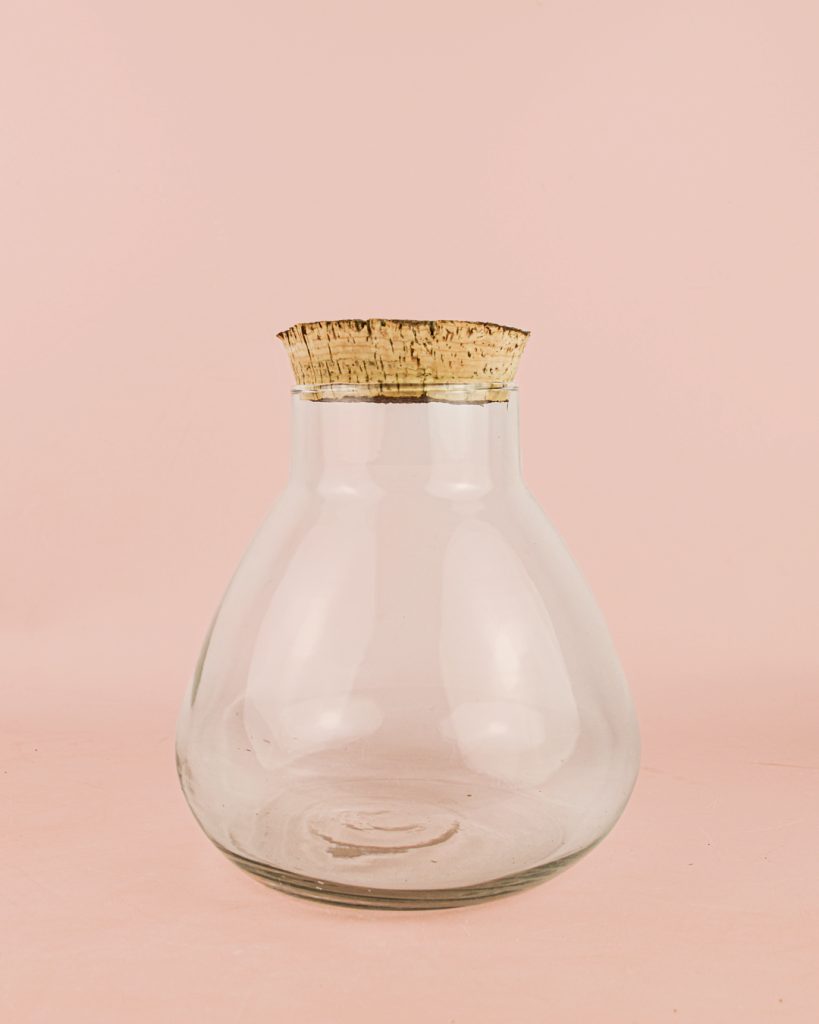 Cómo hacer un Jardín en Botella | Guía Práctica | Pur Plant